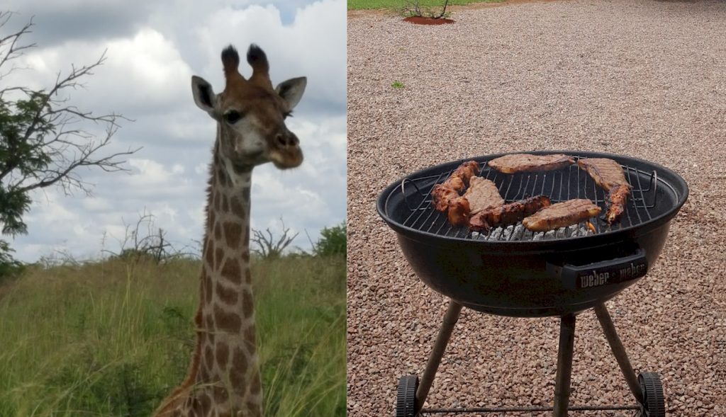 Gallery – Makhato 84 Bush Lodge
